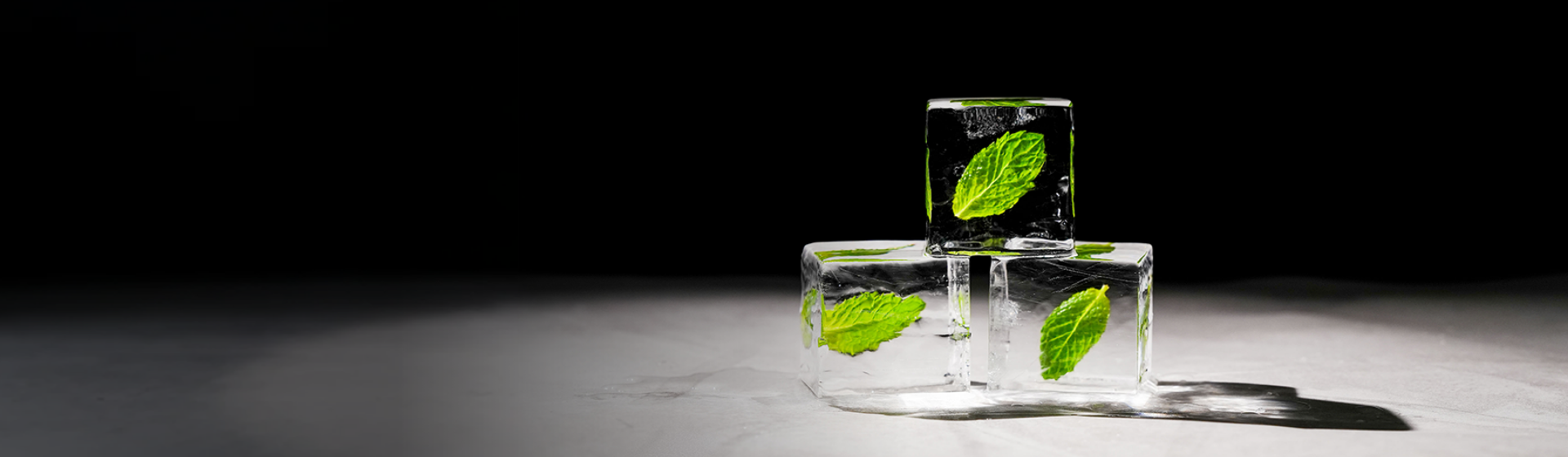 Commercial clear ice machines – The Space & Vesta